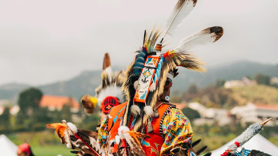 $125,000 donation to support Indigenous language education | Otter Co-op